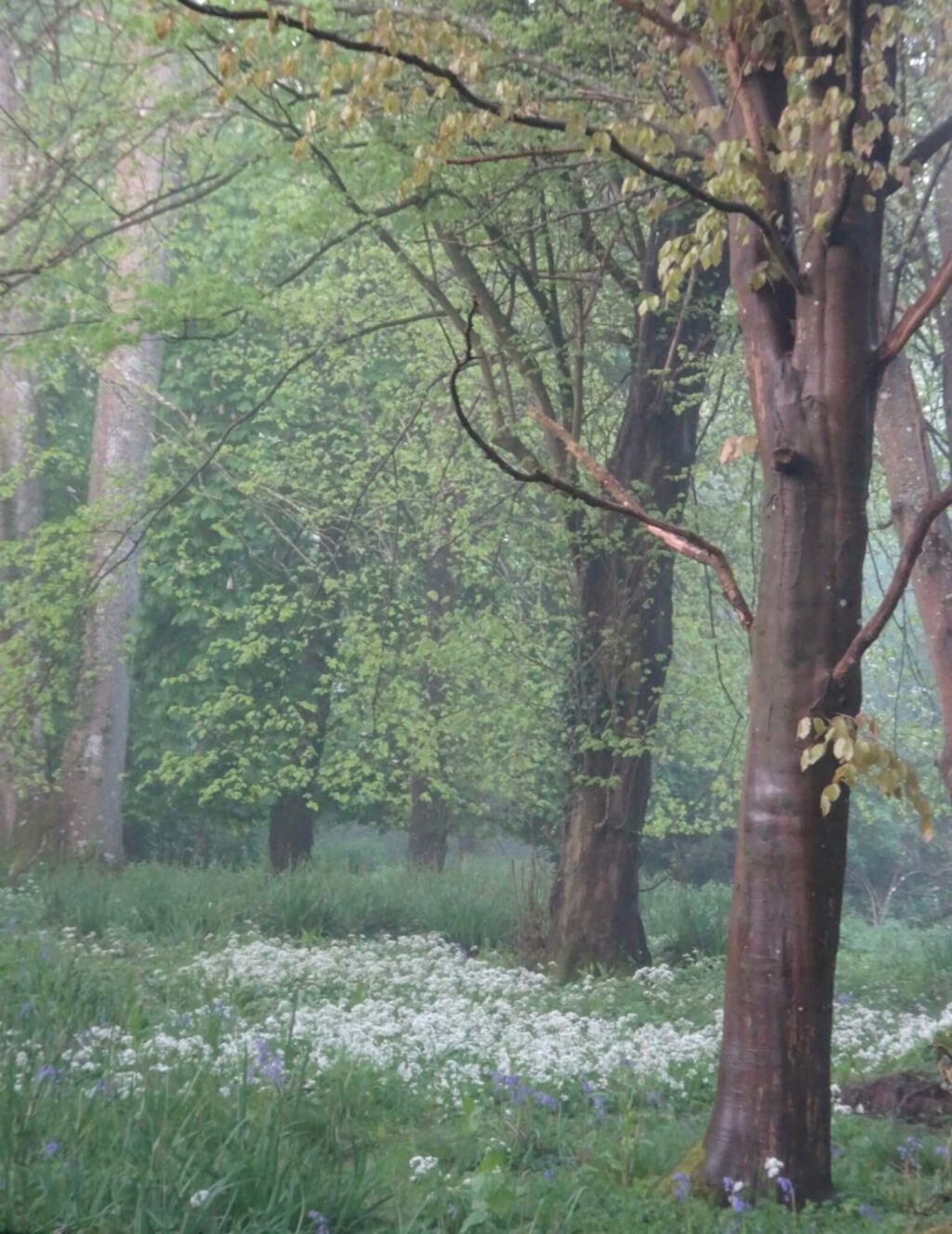 Summer 2023 Exhibition - Hampstead Photographic Society